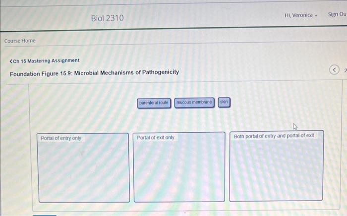 Solved «Ch 15 Mastering Assignment Fol | Chegg.com