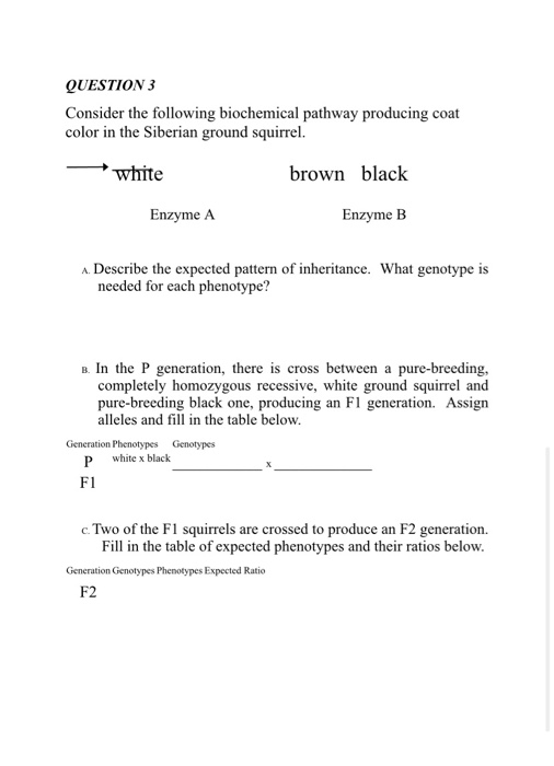 Solved QUESTION 3 Consider the following biochemical pathway | Chegg.com Solved QUESTION 3 Consider the following biochemical pathway | Chegg.com