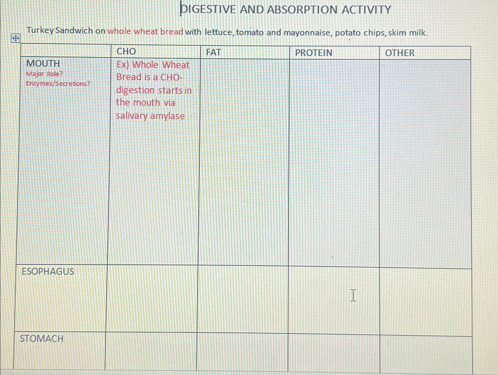 Solved DIGESTIVE AND ABSORPTION ACTIVITYTurkeySandwich on | Chegg.com