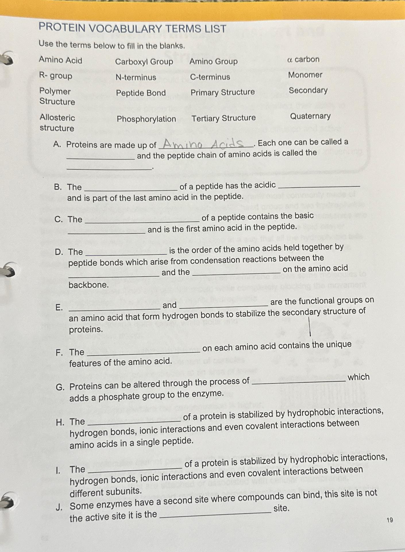 Solved PROTEIN VOCABULARY TERMS LISTUse the terms below to | Chegg.com