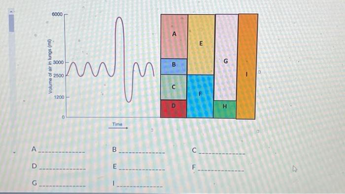 Solved Ilene, a 54 yo smoker with COPD, had a spirometry | Chegg.com