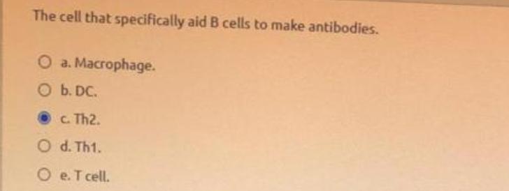 Solved The cell that specifically aid B cells to make | Chegg.com