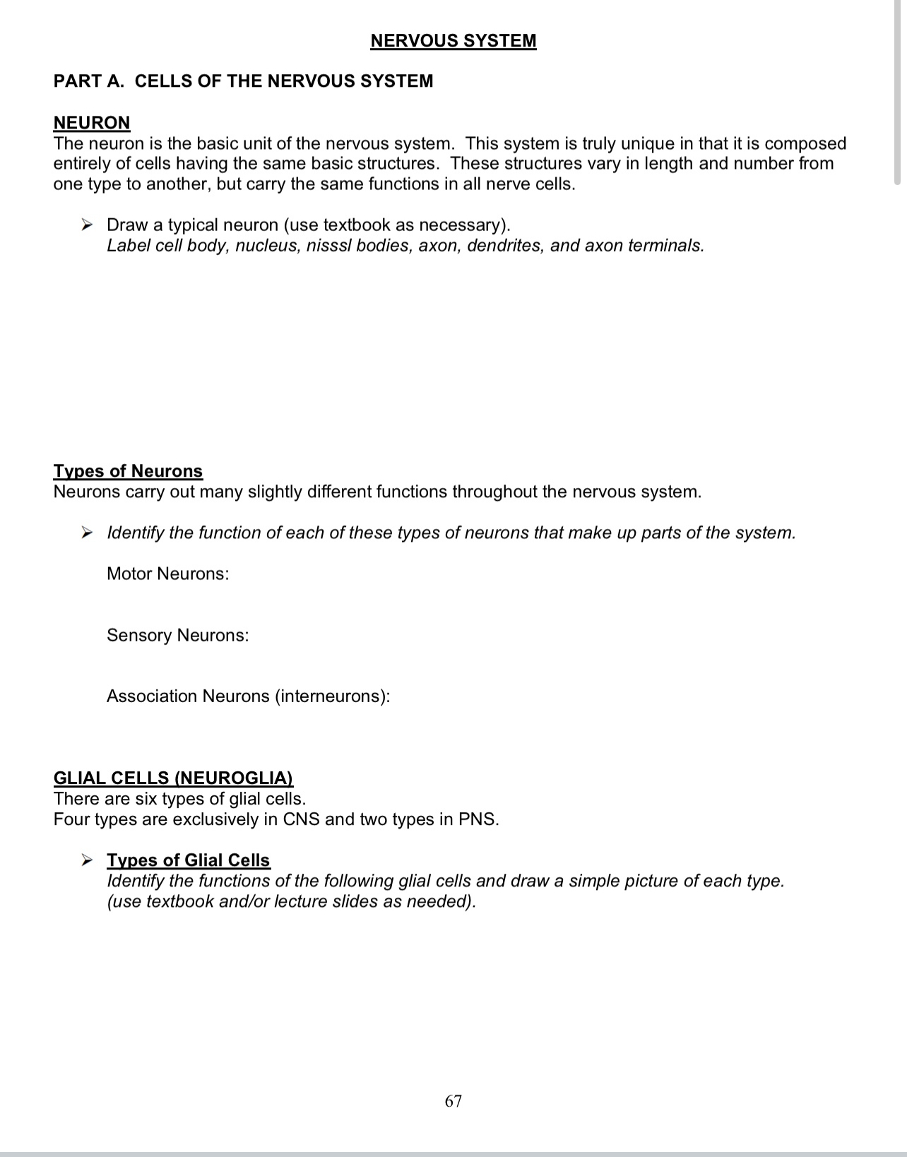 Solved NERVOUS SYSTEMPART A. ﻿CELLS OF THE NERVOUS | Chegg.com