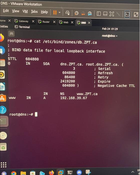 Solved Configure DNS Server (192.168.39.66) for Apache | Chegg.com