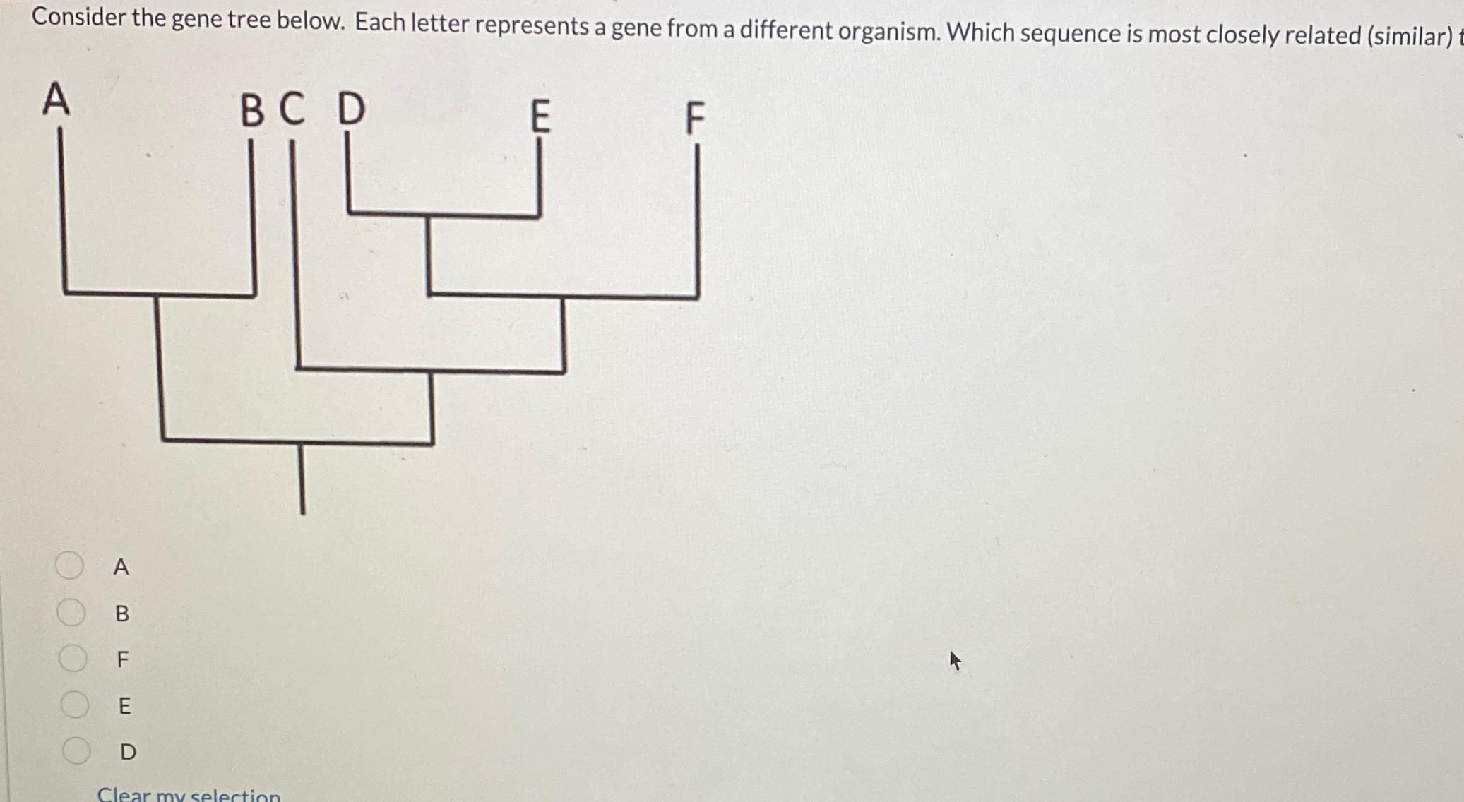 Solved Consider the gene tree below. Each letter represents | Chegg.com