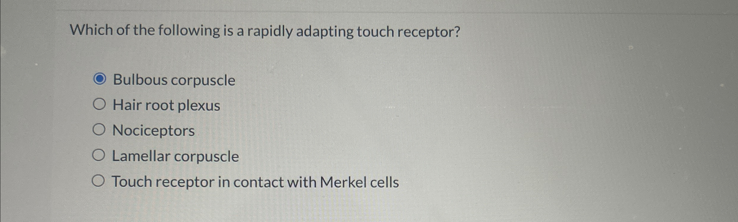 Solved Which of the following is a rapidly adapting touch | Chegg.com