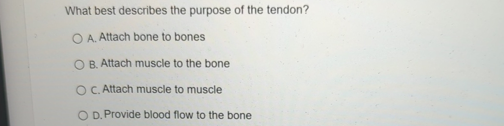 Solved What best describes the purpose of the tendon?A. | Chegg.com