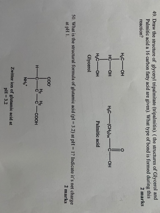 Solved 49. Draw the structure of glyceryl tripalmitate | Chegg.com