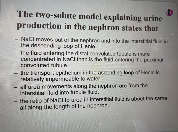 Solved The two-solute model explaining urine production in | Chegg.com