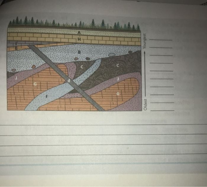 Solved Geologic Rock Symbols Sandstone Limestone Gneiss | Chegg.com
