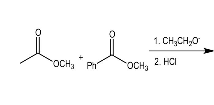 Solved O + OCH3 Ph OCH 3 1. CH3CH₂O- 2. HCI | Chegg.com