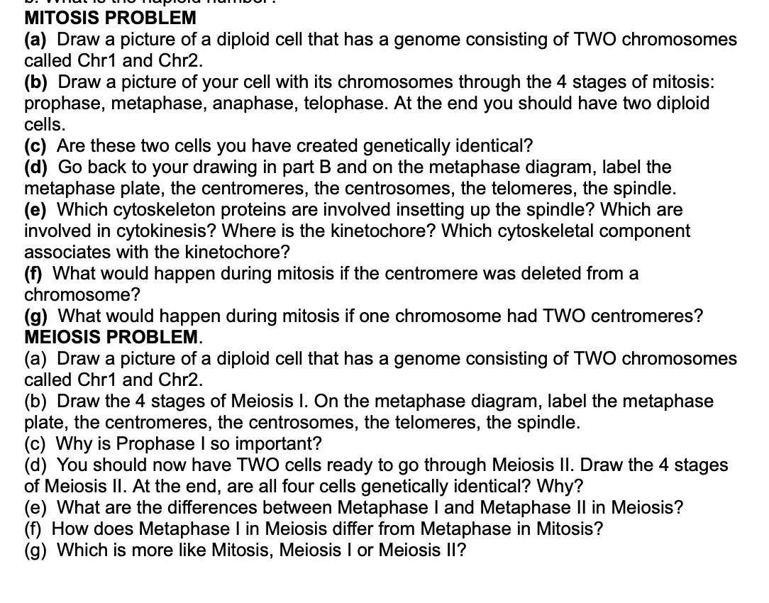 Solved MITOSIS PROBLEM(a) ﻿Draw a picture of a diploid cell | Chegg.com