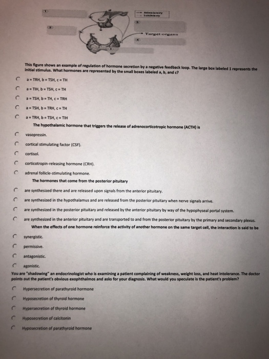 Solved This figure shows an example of regulation of hormone | Chegg.com
