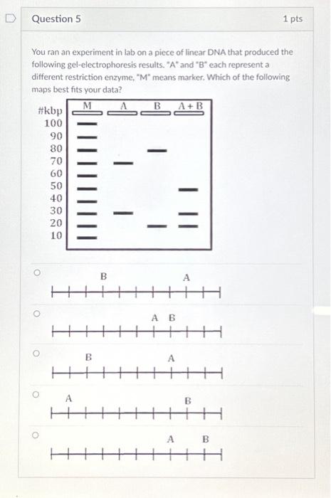 Solved Question 5 You ran an experiment in lab on a piece of | Chegg.com