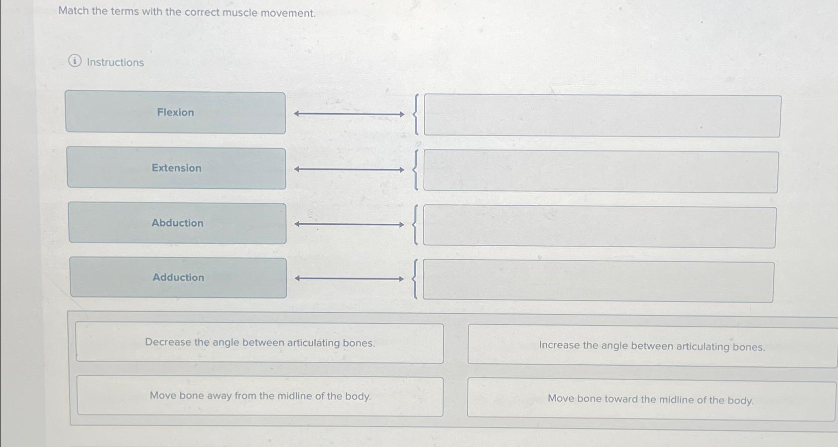 Solved Match the terms with the correct muscle | Chegg.com