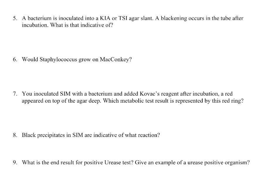 Solved 5. A bacterium is inoculated into a KIA or TSI agar | Chegg.com