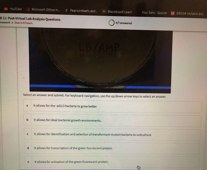 Solved o Lab 11 Analysis Question 4 Homework Unanswered | Chegg.com