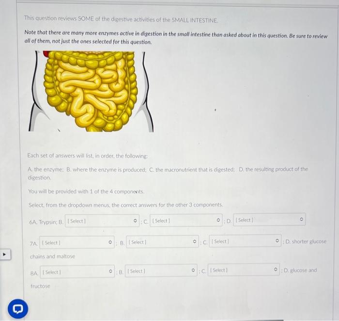 This question reviews SOME of the digestive | Chegg.com