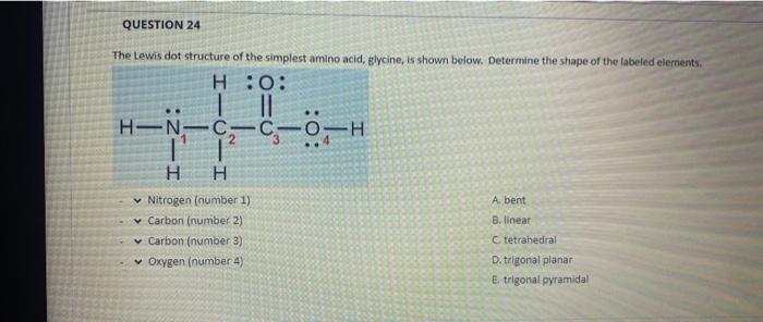 Solved QUESTION 12 Based on the Lewis dot structure of | Chegg.com