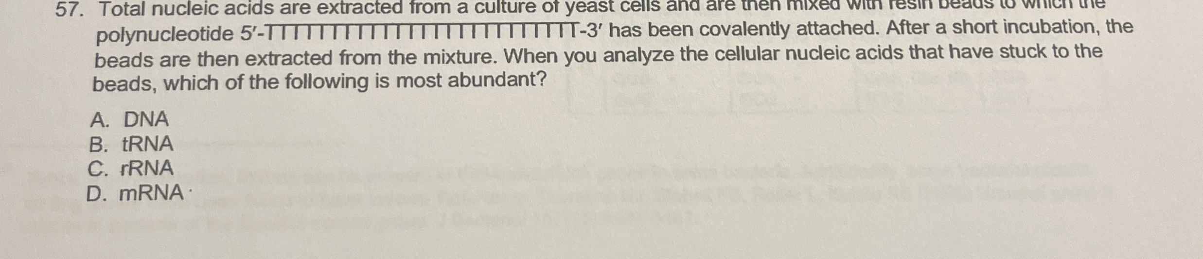Solved polynucleotide 5'- ﻿T111111111111111111111- 3' ﻿has | Chegg.com