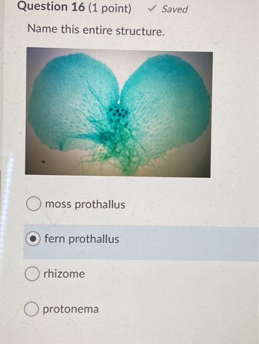 Solved Question 16 (1 point) Saved Name this entire | Chegg.com