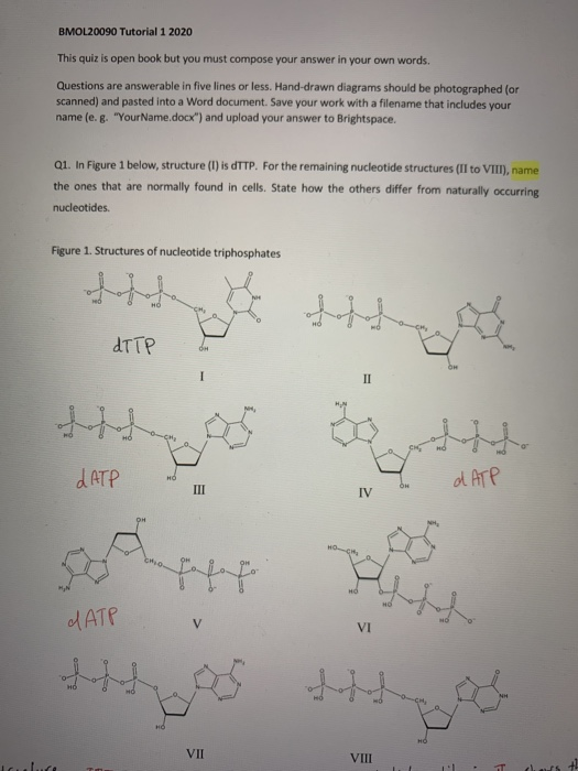 Solved BMOL20090 Tutorial 1 2020 This quiz is open book but | Chegg.com
