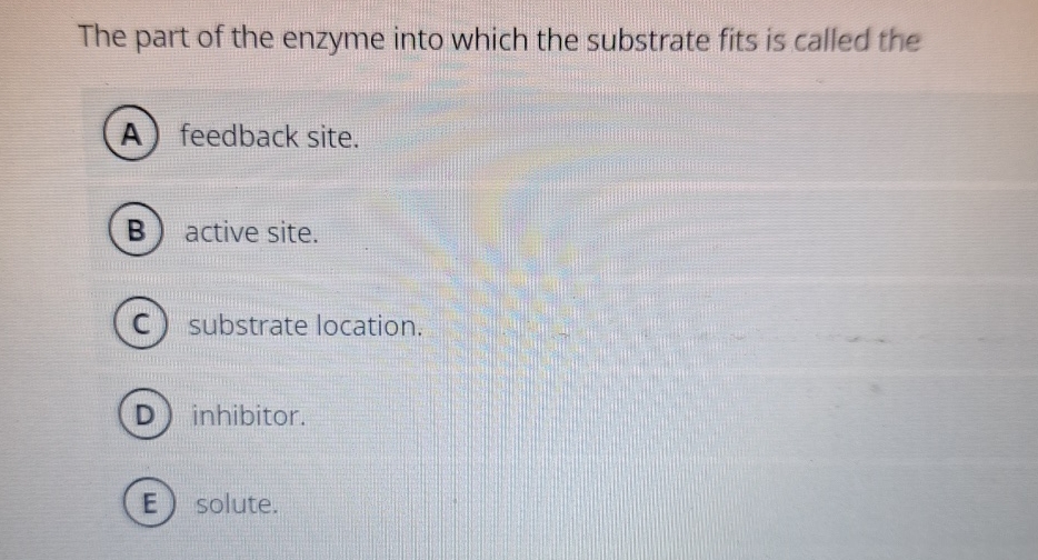 Solved The part of the enzyme into which the substrate fits | Chegg.com
