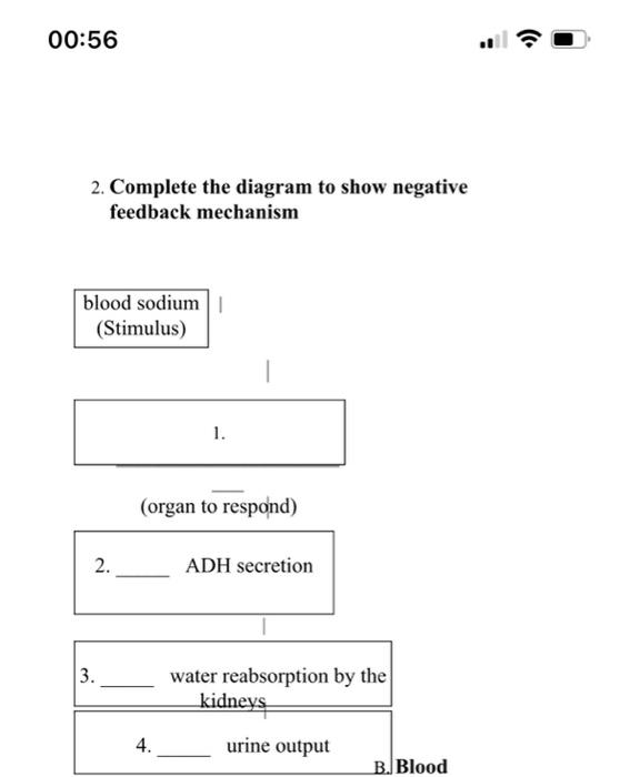 [Solved]: 00:56 2. Complete the diagram to show negative fe