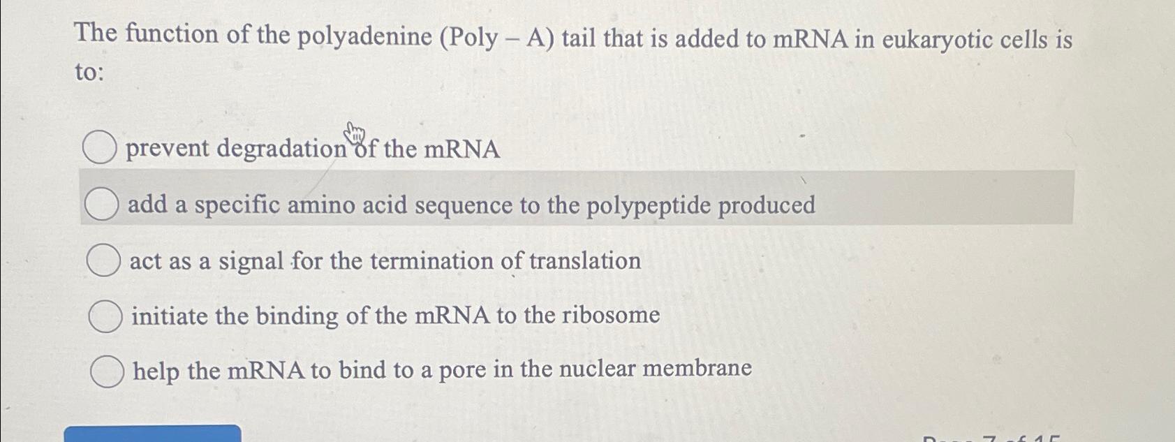 Solved The function of the polyadenine (Poly - ﻿A) ﻿tail | Chegg.com