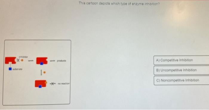 Solved This cartoon depicts which type of enzyme inhibition? | Chegg.com
