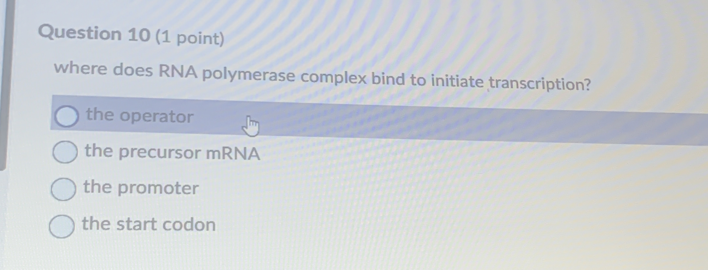 Solved Question 10 (1 ﻿point)where does RNA polymerase | Chegg.com