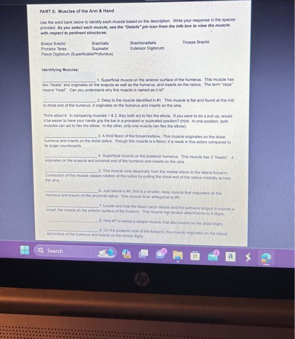 Solved PART 5: Muscles of the Arm \& Hand Use the word bank | Chegg.com