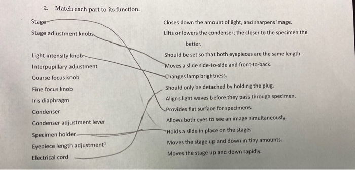 Solved 2. Match each part to its function. Stage Stage | Chegg.com