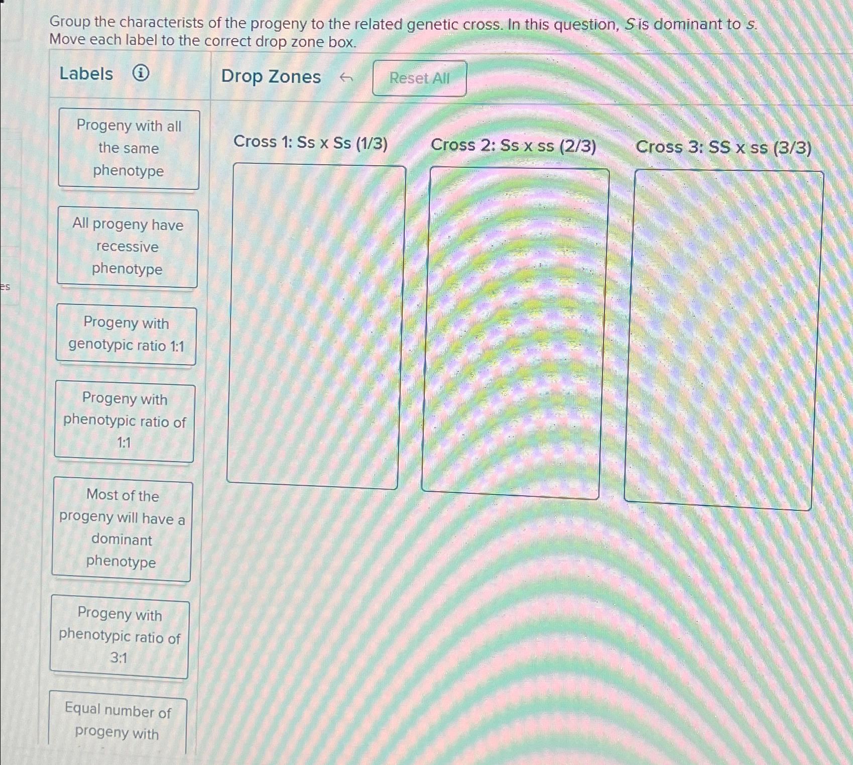 Solved Group the characterists of the progeny to the related | Chegg.com