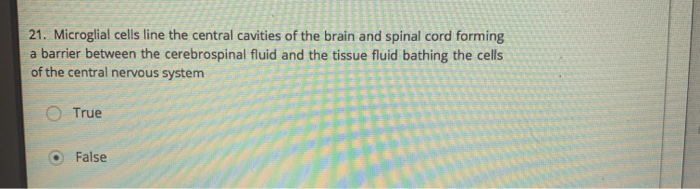 Solved 21. Microglial cells line the central cavities of the | Chegg.com