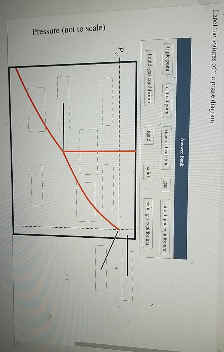 Solved Label the features of the phase diagram. Answer Bank | Chegg.com