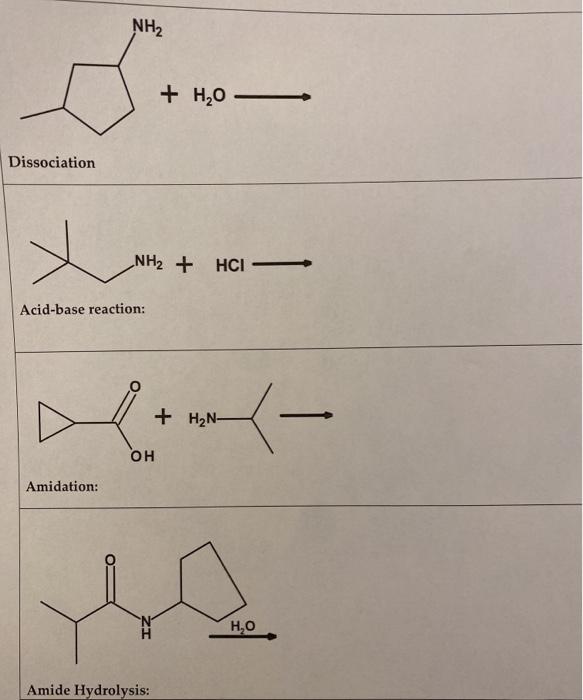 Solved NH2 + H20 - Dissociation NH2 + HCI- Acid-base | Chegg.com