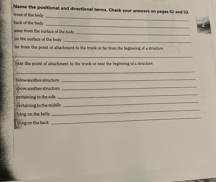 Solved Name the positional and directional terms. Check your | Chegg.com