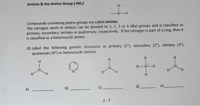 Solved Amines & the Amino Group (-NH2) H NH Compounds | Chegg.com