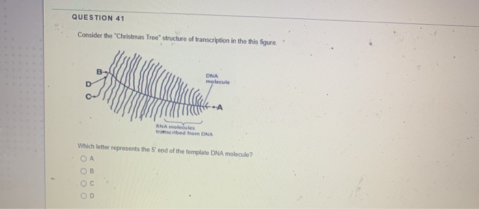 Solved QUESTION 40 Consider the Christmas Treestructure of | Chegg.com Solved QUESTION 40 Consider the Christmas Treestructure of | Chegg.com