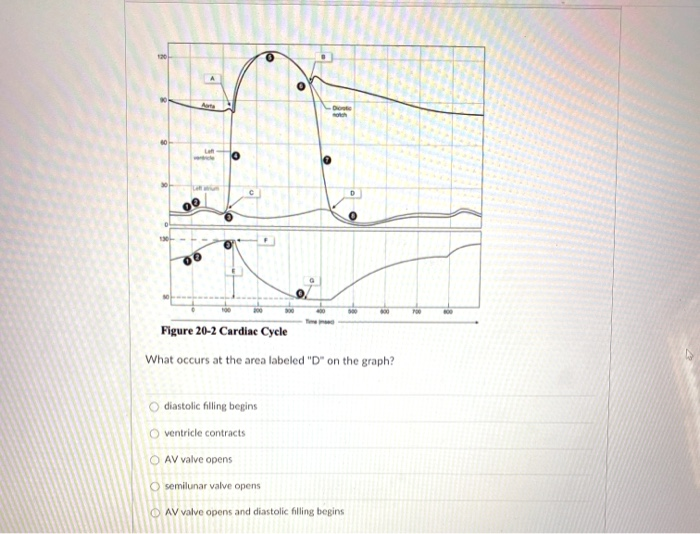Solved O Ae 0 100 Figure 20-2 Cardiac Cycle What occurs at | Chegg.com Solved O Ae 0 100 Figure 20-2 Cardiac Cycle What occurs at | Chegg.com