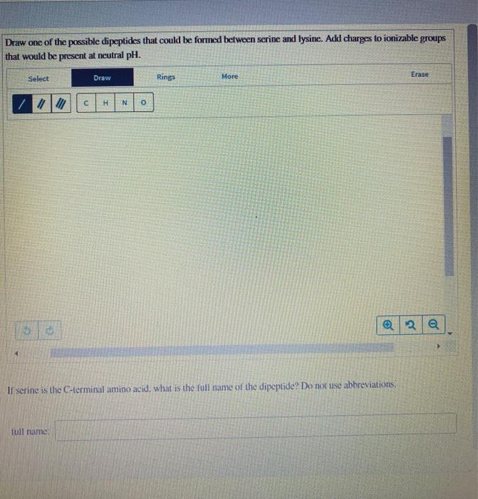 Solved Draw one of the possible dipeptides that could be | Chegg.com