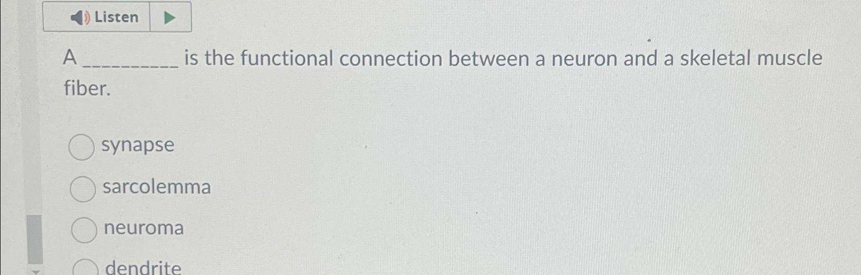Solved ListenA is the functional connection between a neuron | Chegg.com