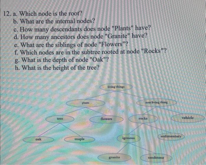 Solved 12. a. Which node is the root? b. What are the | Chegg.com