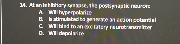 Solved 14. At an inhibitory synapse, the postsynaptic | Chegg.com