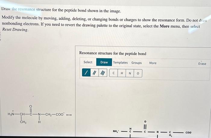 Solved Draw the resonance structure for the peptide bond | Chegg.com
