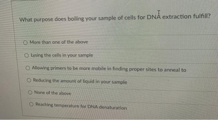 Solved What purpose does boiling your sample of cells for | Chegg.com