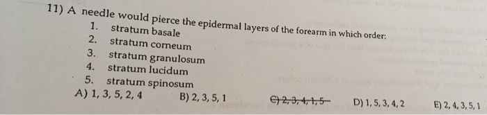 Solved 1) The site where ribosomes assemble prior to their | Chegg.com