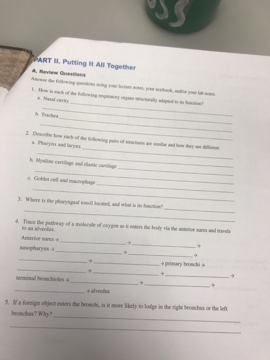 Solved PART II. Putting It All Together A. Review Questions | Chegg.com