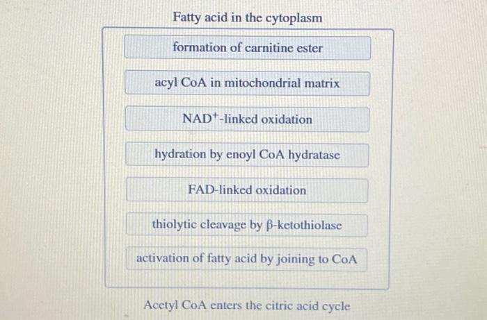 Place the reactions and relevant locations of | Chegg.com